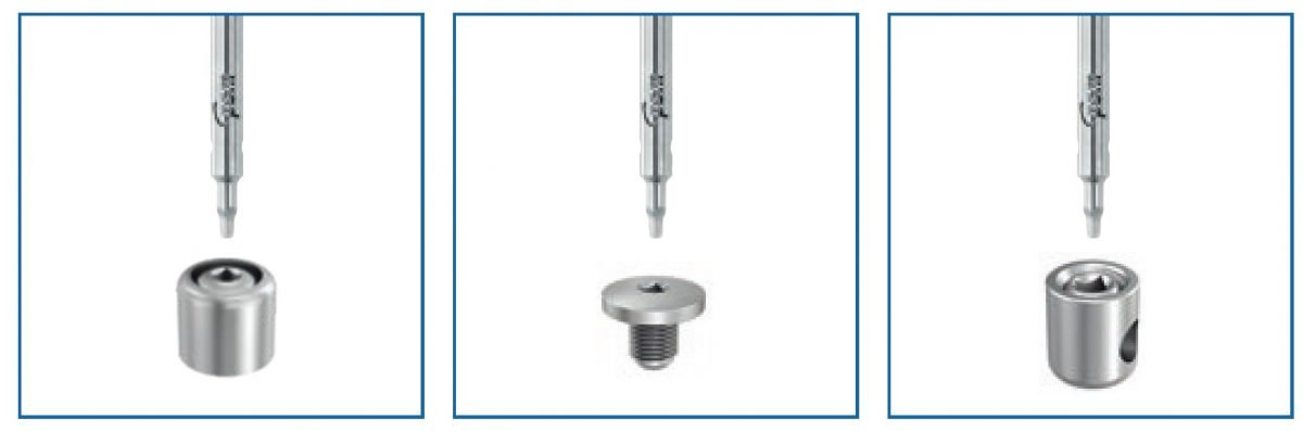 SCREWDRIVER INSERT - ORTHOMAX Australia
